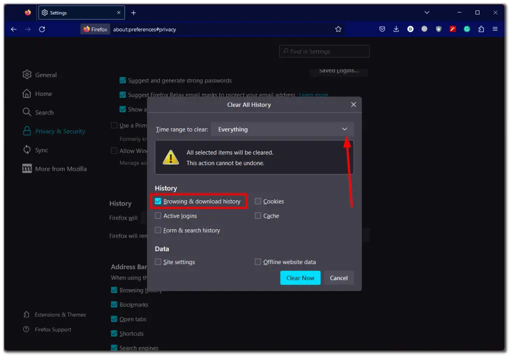 How to clear your download history in Mozilla Firefox | Tab-TV